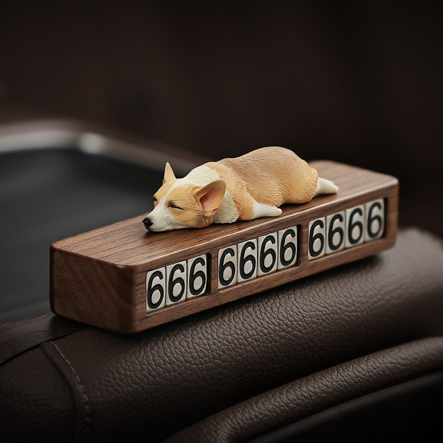 Lazy sleeping Little Shiba Inu senior walnut car roadside temporary ...