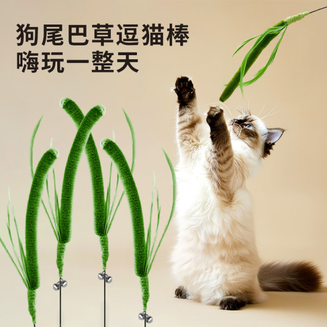 Dog tail grass amusing cat stick, self-stimulating and relieving ...