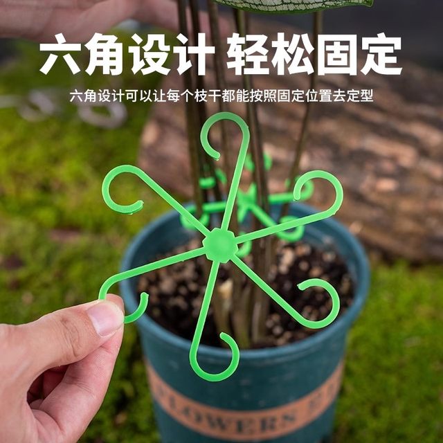 Monstera fixator support anti-lodging spring rain bracket branch fixed ...