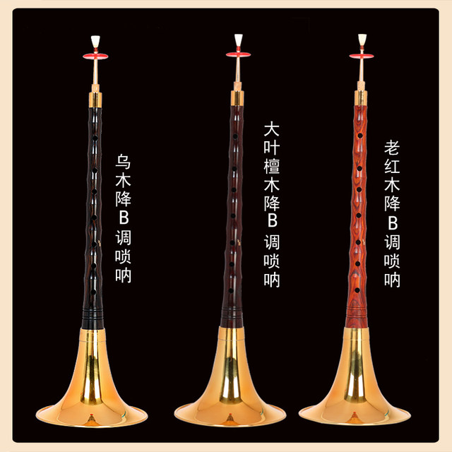 Wang Jiabiao descending B tuning suona instrument beginner all set of ...