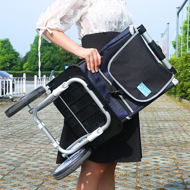 Telescopic shopping cart, small trolley, Internet celebrity supermarket ...