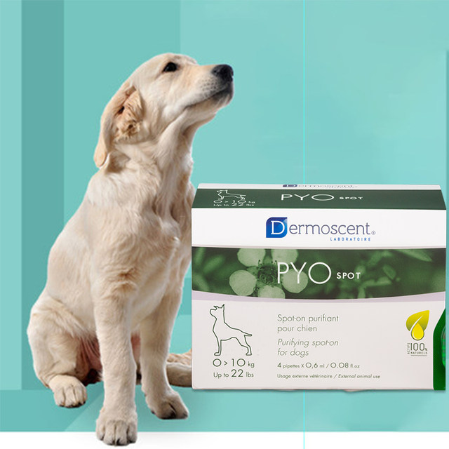 French Demax PYO dog skin purifying drops reduce dog skin problems 0-10kg