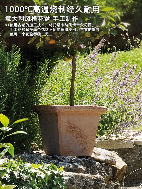 Deroma Roman natural clay olive branch relief balcony floor-standing ...