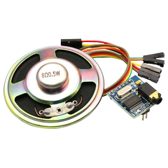 Audio/Amplifier Module