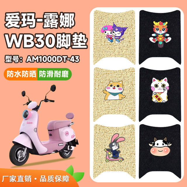 Emma Luna WB30 electric car foot mats AM1000DT-43 waterproof, sunproof ...