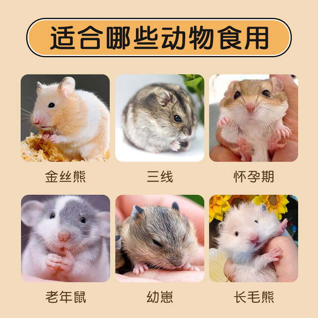 A complete collection of food staples for hamsters, nutritious food for ...