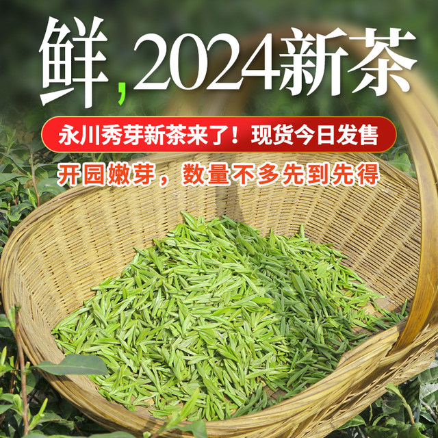 Green Tea Yongchuan Xiuya 2024 New Tea Mingqian Tea Special Grade ...