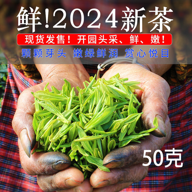 Yongchuan Xiuya 2024 New Tea Green Tea Special Grade Mingqian Tea ...