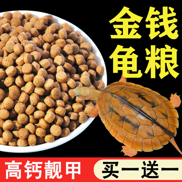 Turtle grain stone money turtle feed yellow throat, turtle turtles ...