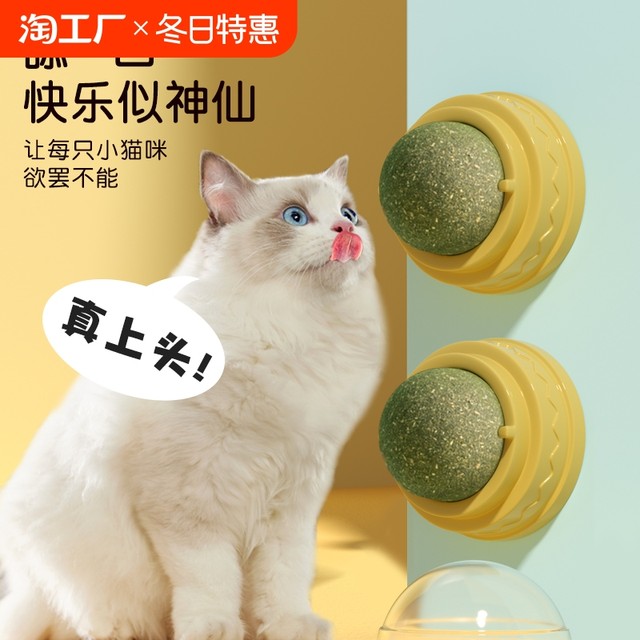 Cat Mint Cat toy Paste the Wall Self -teasing Cat and Missing Mogo ...