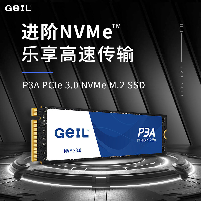 Igo Geil P3a 1TB M.2 NVMe SSD - High Performance Solid State Drive
