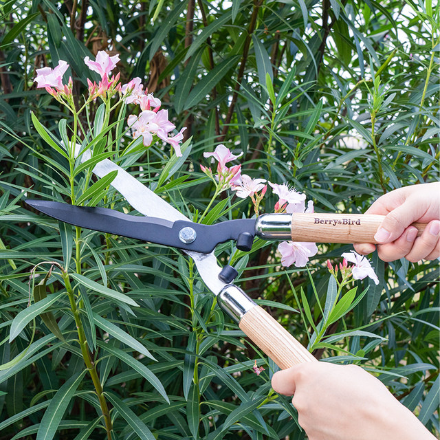 Berry/Bird gardening forest hedge shearing lawn pruning fruit tree ...