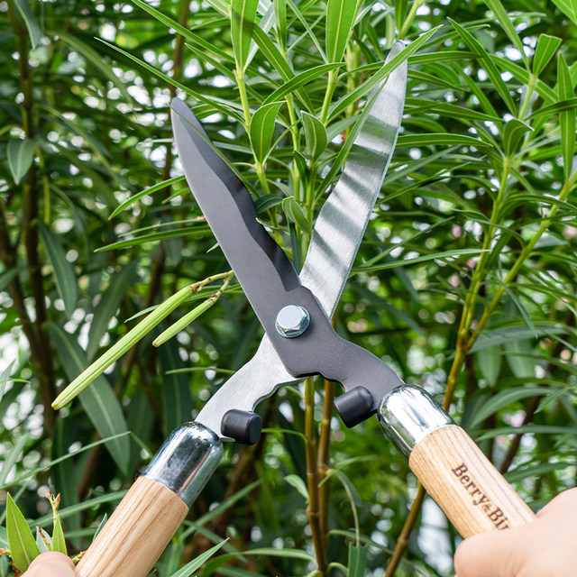 Berry/Bird gardening forest hedge shearing lawn pruning fruit tree ...