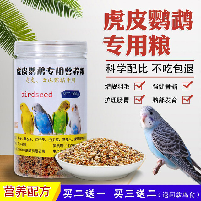 Special grain bird food for budgerigars, cloud-spot grain, shelled ...