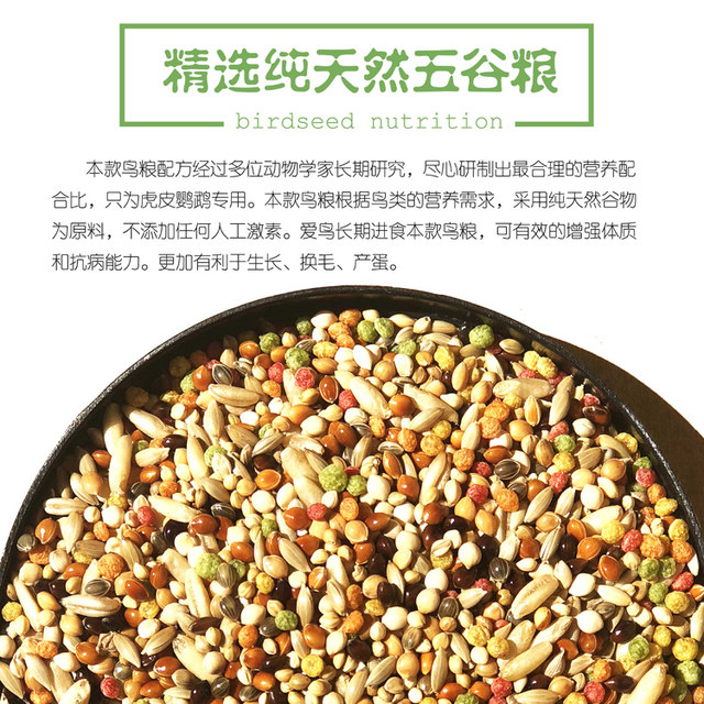 Special grain bird food for budgerigars, cloud-spot grain, shelled ...