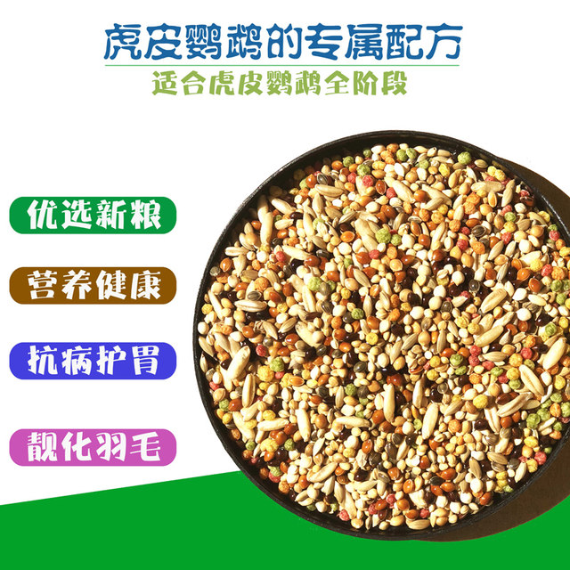 Special grain bird food for budgerigars, cloud-spot grain, shelled ...