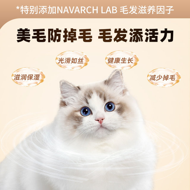 Cat Food Cheng Cat Kitten 10jin [Jin is equal to 0.5 kg] Affordable ...