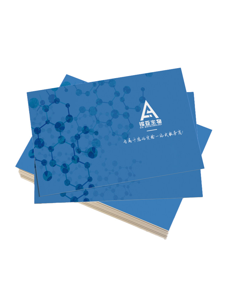 Jingtai Packaging Business Cards - Fast Beijing Printing on Art Paper