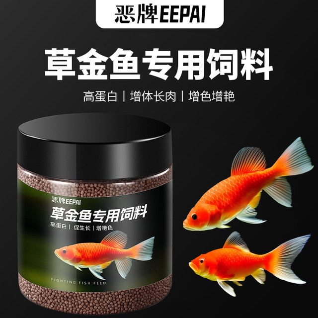Grass goldfish feed small particles floating type special grain Tailiu ...