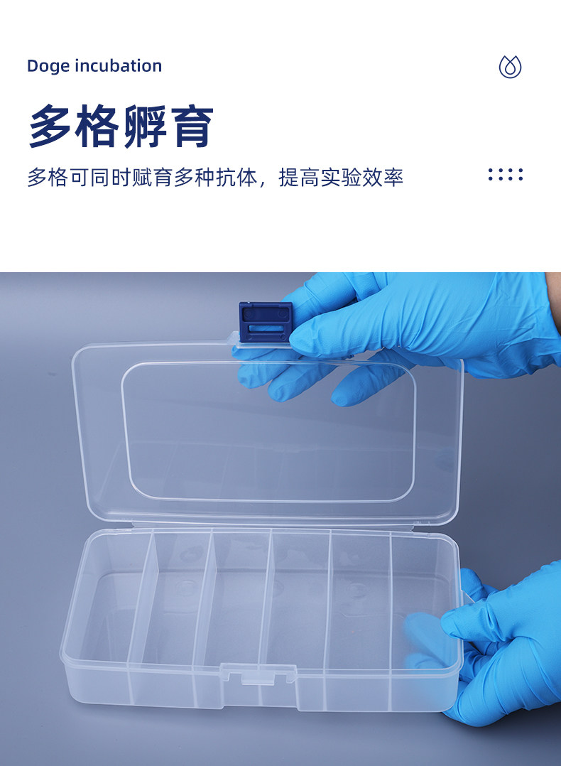Western blot incubation box 5 immunohistochemical wet | Yucheng ...