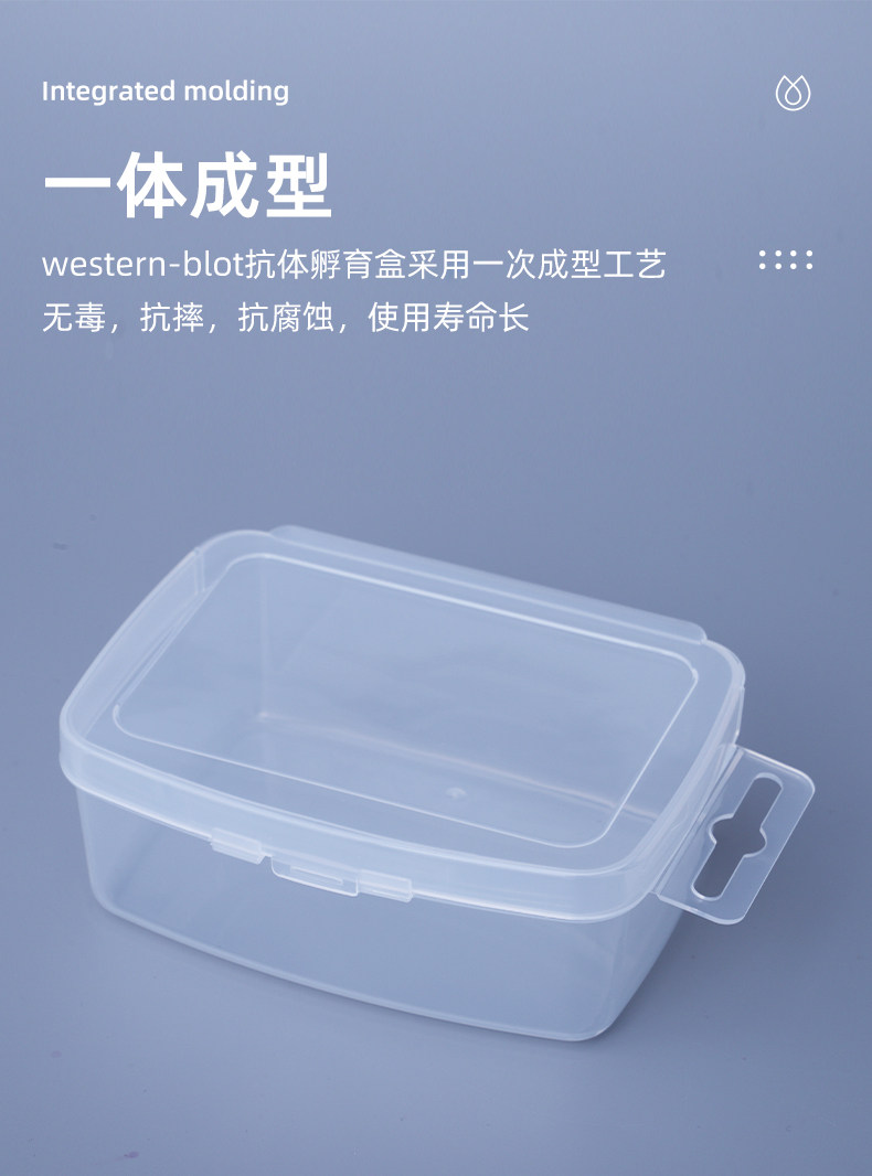 Western blot incubation box 5 immunohistochemical wet | Yucheng ...