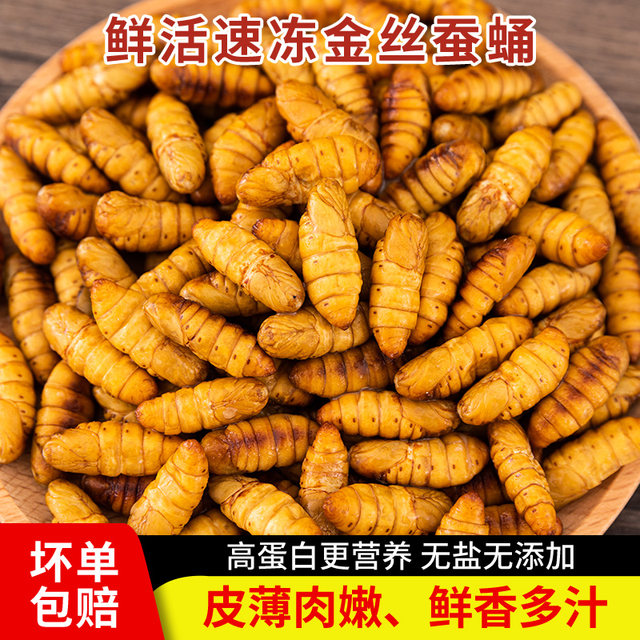 Fresh golden silkworm pupae, fresh frozen raw golden silkworm pupae ...
