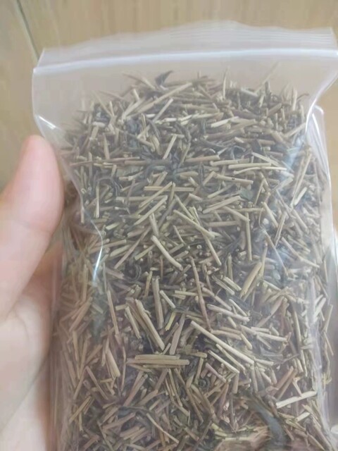 Natural tea leaf sink -ear stick tea leaf sink ear pierced earmus tea ...