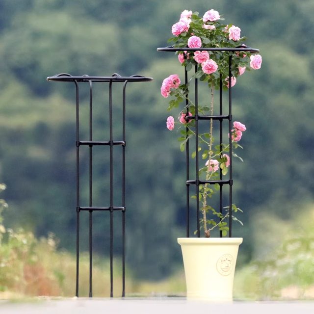 The third generation of umbrella type climbing pergola thickened ...