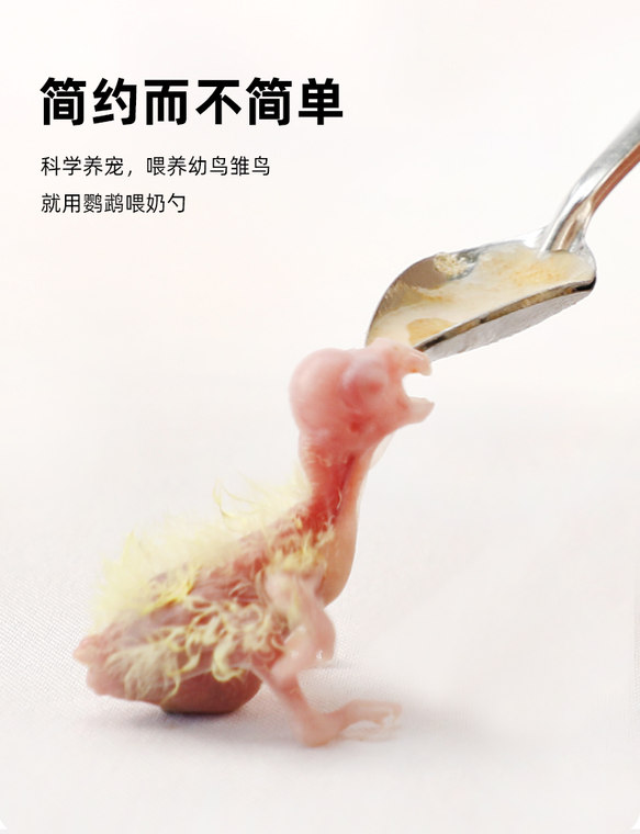 Parrot milk powder feeding spoon hand-raised baby bird feeding spoon ...
