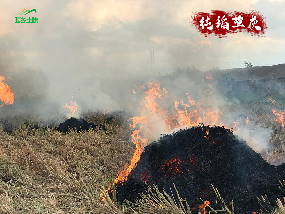 Pure Glutinous Rice Straw Ash Bag Rice Dumplings - Gray Alkaline Water ...