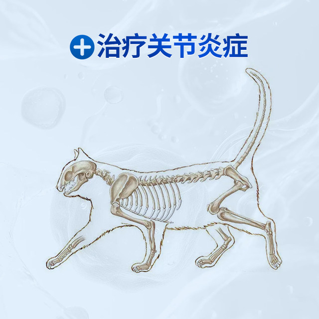 Meloxicam tablets, pet cat analgesics, dog arthritis, fractures, lame ...