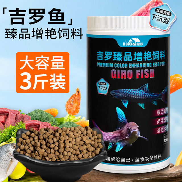 Painted Gilo Fish Feed High Protein Blue Red Rainbow Gilo Fish Fish ...