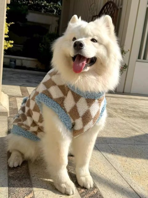 Special clothes for Samoyed in autumn and winter for big dogs, New Year ...