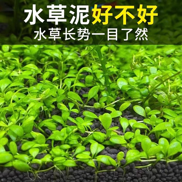 Water grass mud ceramsite sand sand fish tank bottom sand aquarium ...