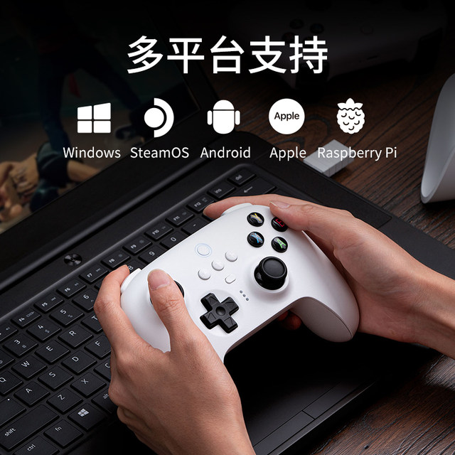 8Bitdo Orion 2.4G true wireless game controller with back button ...