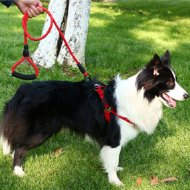 2m 3m extended dog leash dog leash Teddy golden retriever pet vest ...