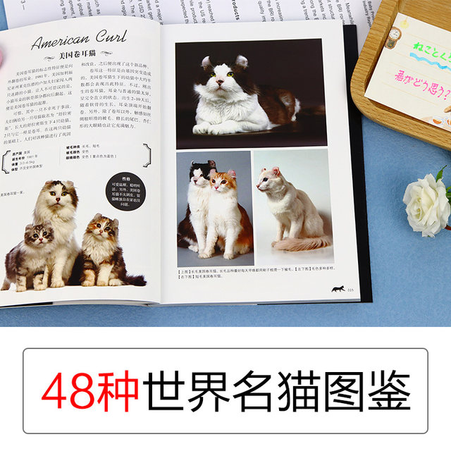 Cat Encyclopedia Cat Illustrated Book 48 World Famous Cat Illustrated ...