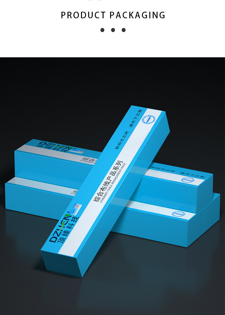 Dingzhen 24포트 카테고리 5e 직접 네트워크 슈퍼 분배 프레임 | 딩전기술