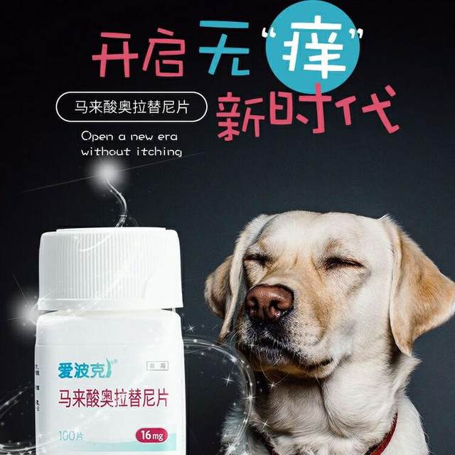 Aipok Pfizer dog fungal bacterial allergy canine atopic dermatitis skin ...