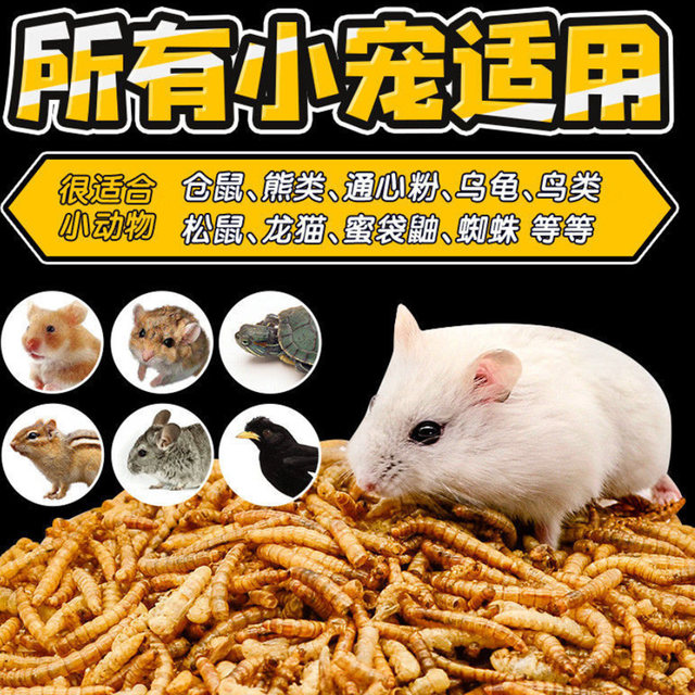 Pet nutrition snack bread worm dry hamster hedgehog food small turtle ...