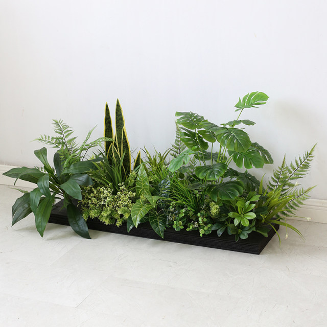 Shop window green plant combination flower trough flower bed plant ...