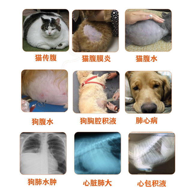 Diuretic Lingya Tablets Pet Cat Dog Diuretic Diuretic Renarctive Heart ...