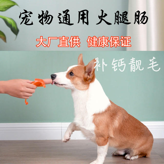 Dog ham sausage pet snacks nutrition calcium sausage food kitten snacks