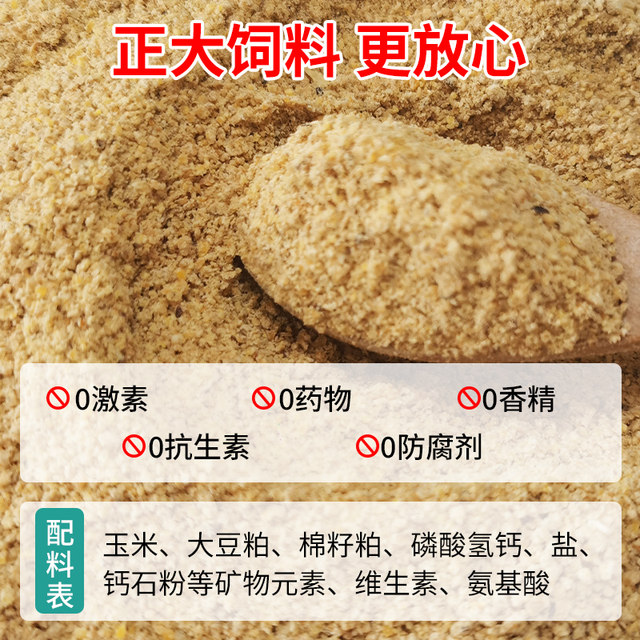 Zhengda 510 Broiler Feed Brooding Chicken Luhua Chicken Quail Rutin ...