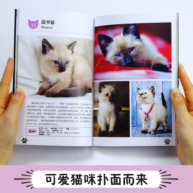 Cat Encyclopedia Cat Book 46 Kinds of Soft Cute Xiao Mao Illustrate ...
