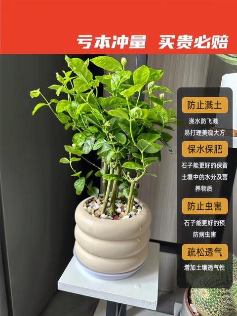 Natural colored stone fish tank landscaping bottom sand succulent ...