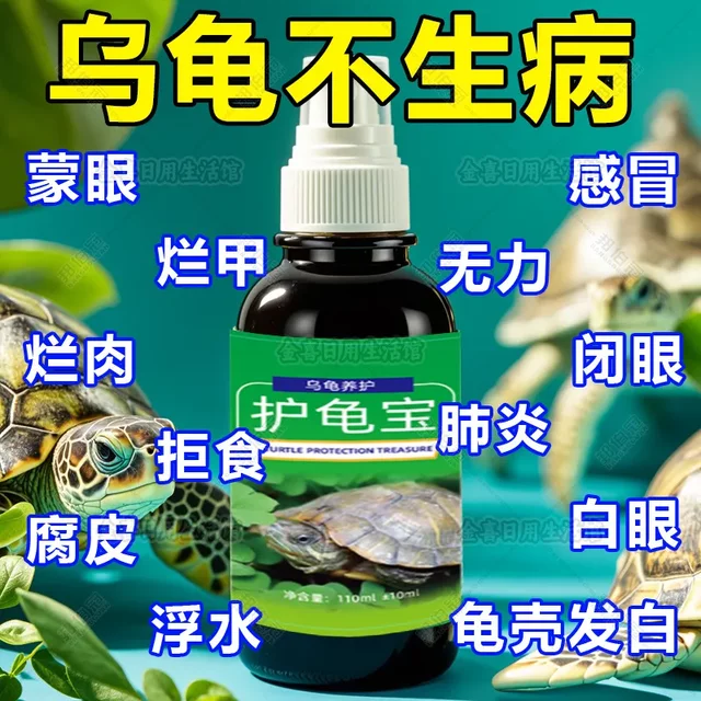 Turtle Protecting Liquid Water Brazilian Turtle Turtle Medicine ...