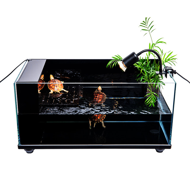 Turtle tank large-scale suspended terrace ultra-white glass bottom ...