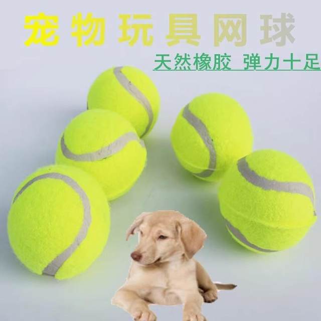 Dog toy ball, self-pleasure and boredom relief artifact, pet border ...