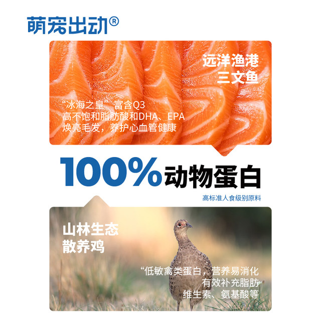 Cute Pets Out Peptide Empty Cat Bars Trial Pack of 20 Cat Staple Food ...